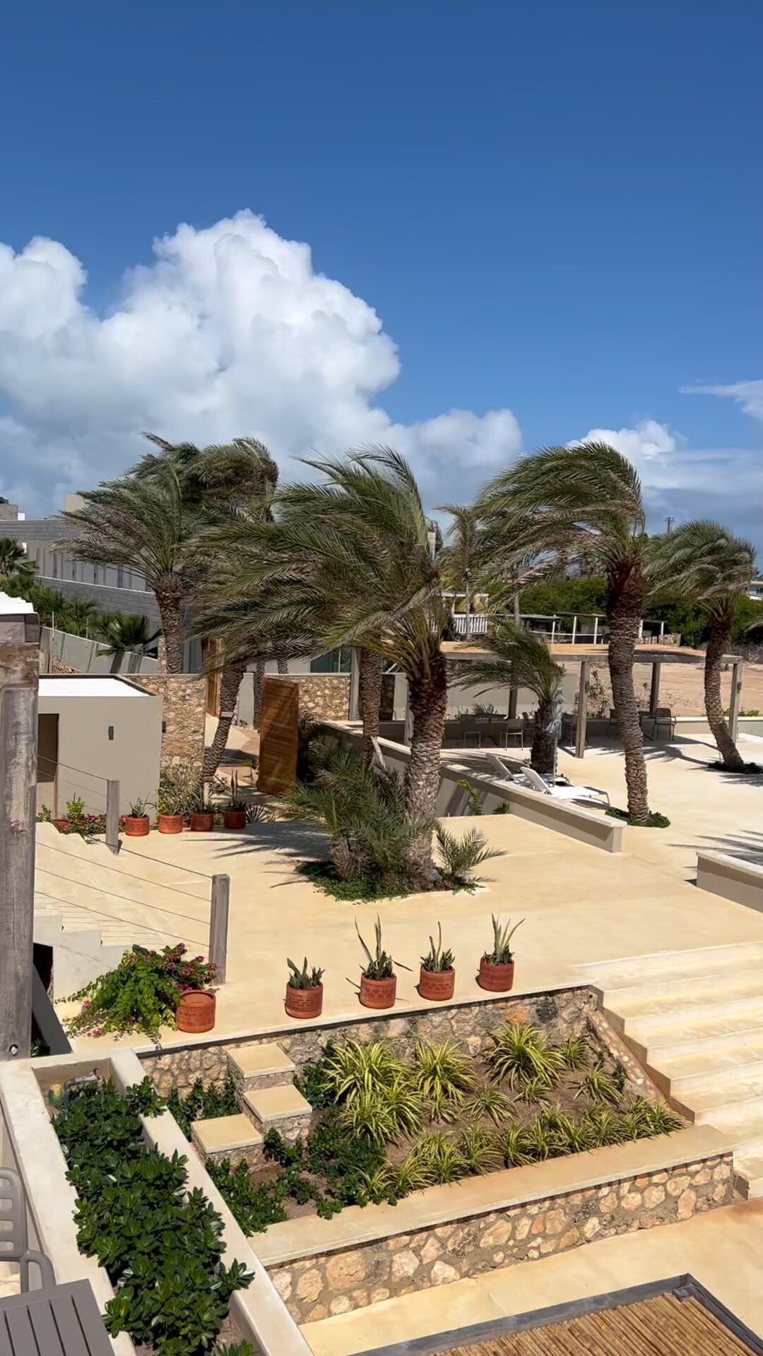 Paradise Adicora — Paradise Hotels