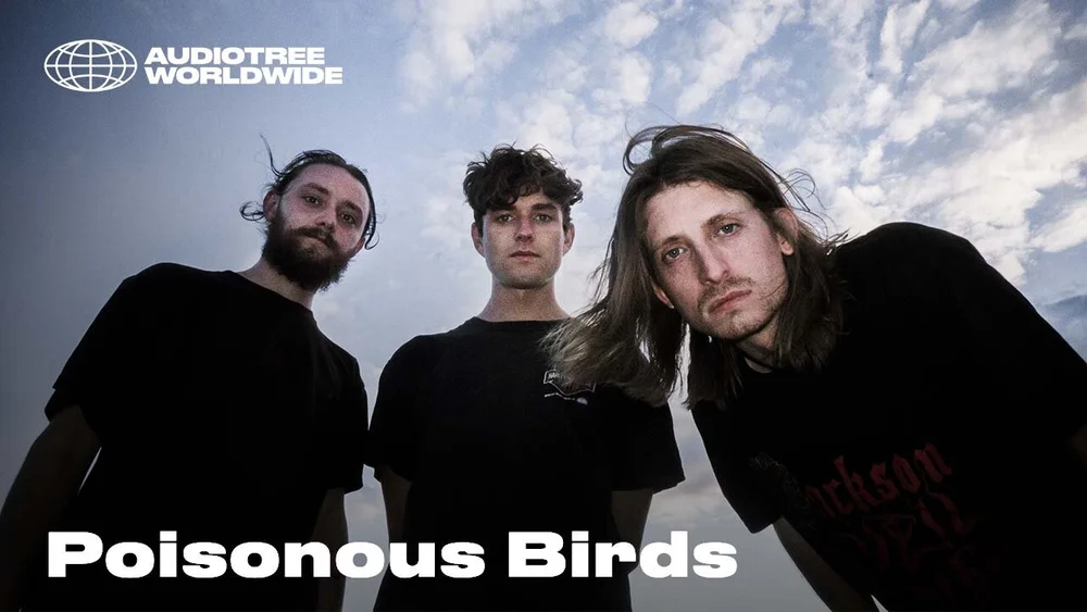 The Birds Band