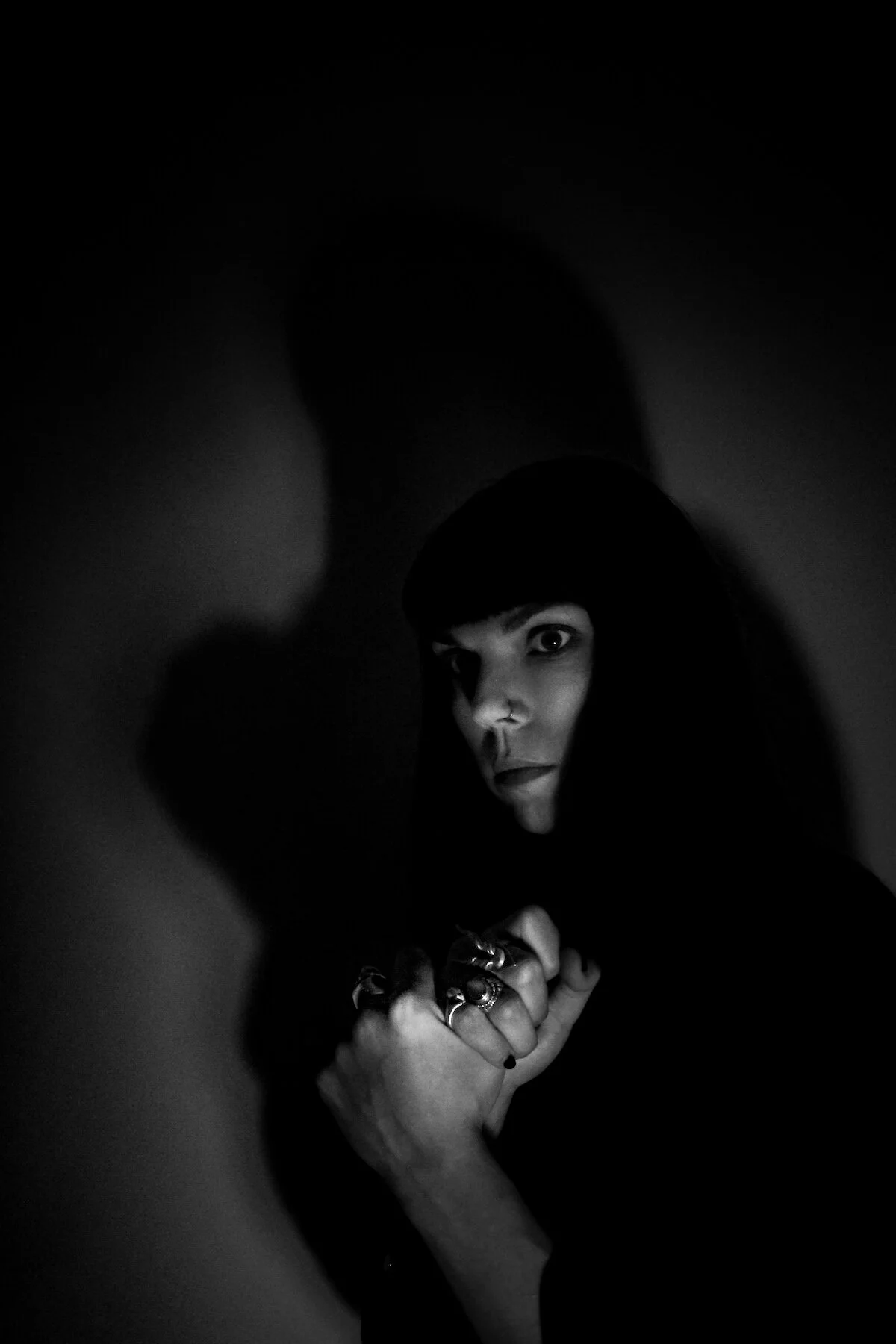 Audiotree | Music Discovery