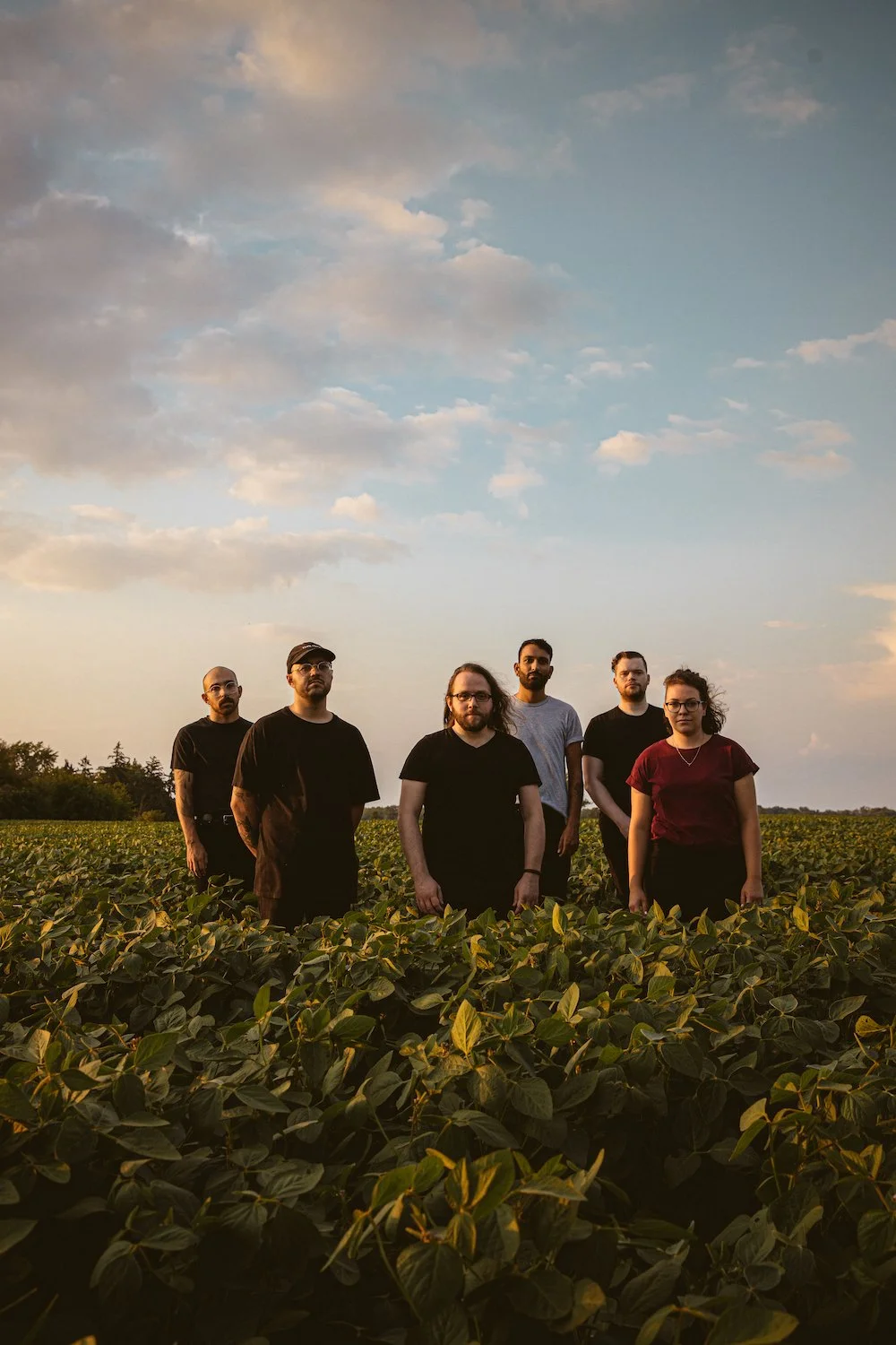 Audiotree | Music Discovery