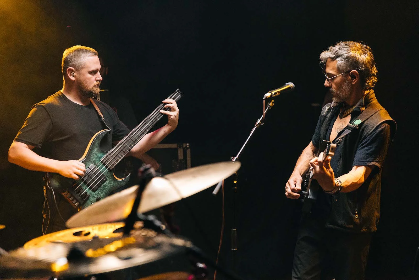 Audiotree | Music Discovery