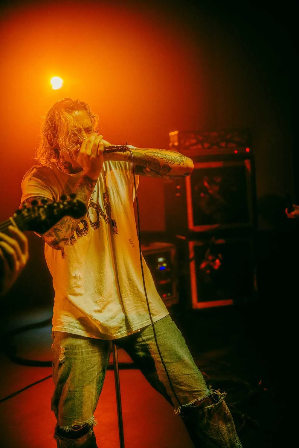 Audiotree | Music Discovery