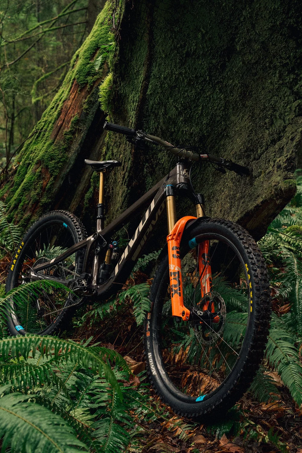 BIKES — JILL KINTNER