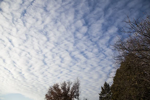 Altocumulus — Weather Briefing, L.C.