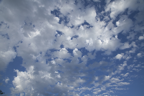 Altocumulus — Weather Briefing, L.C.