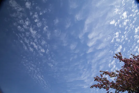 Altocumulus — Weather Briefing, L.C.