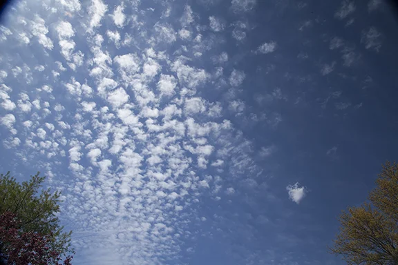Altocumulus — Weather Briefing, L.C.