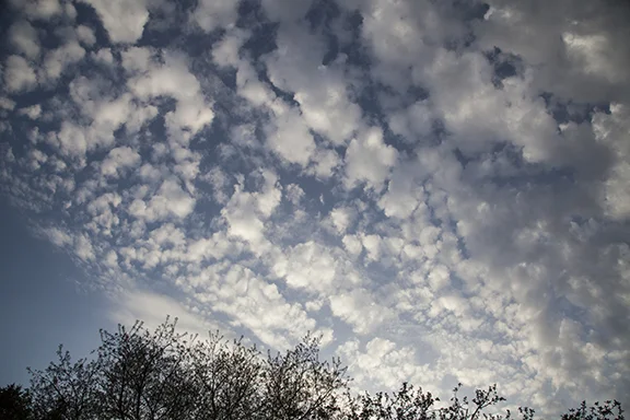 Altocumulus — Weather Briefing, L.C.