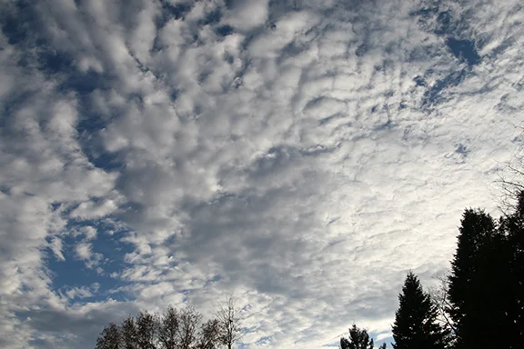 Altocumulus — Weather Briefing, L.C.