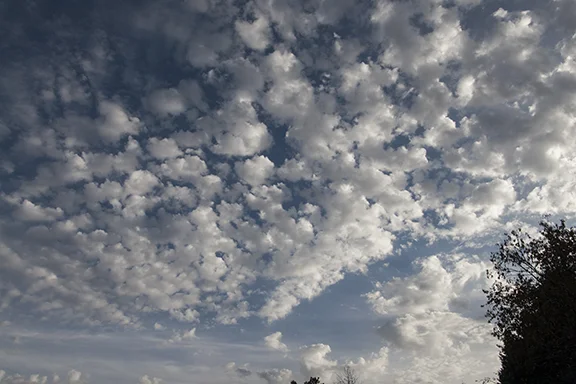 Altocumulus — Weather Briefing, L.C.