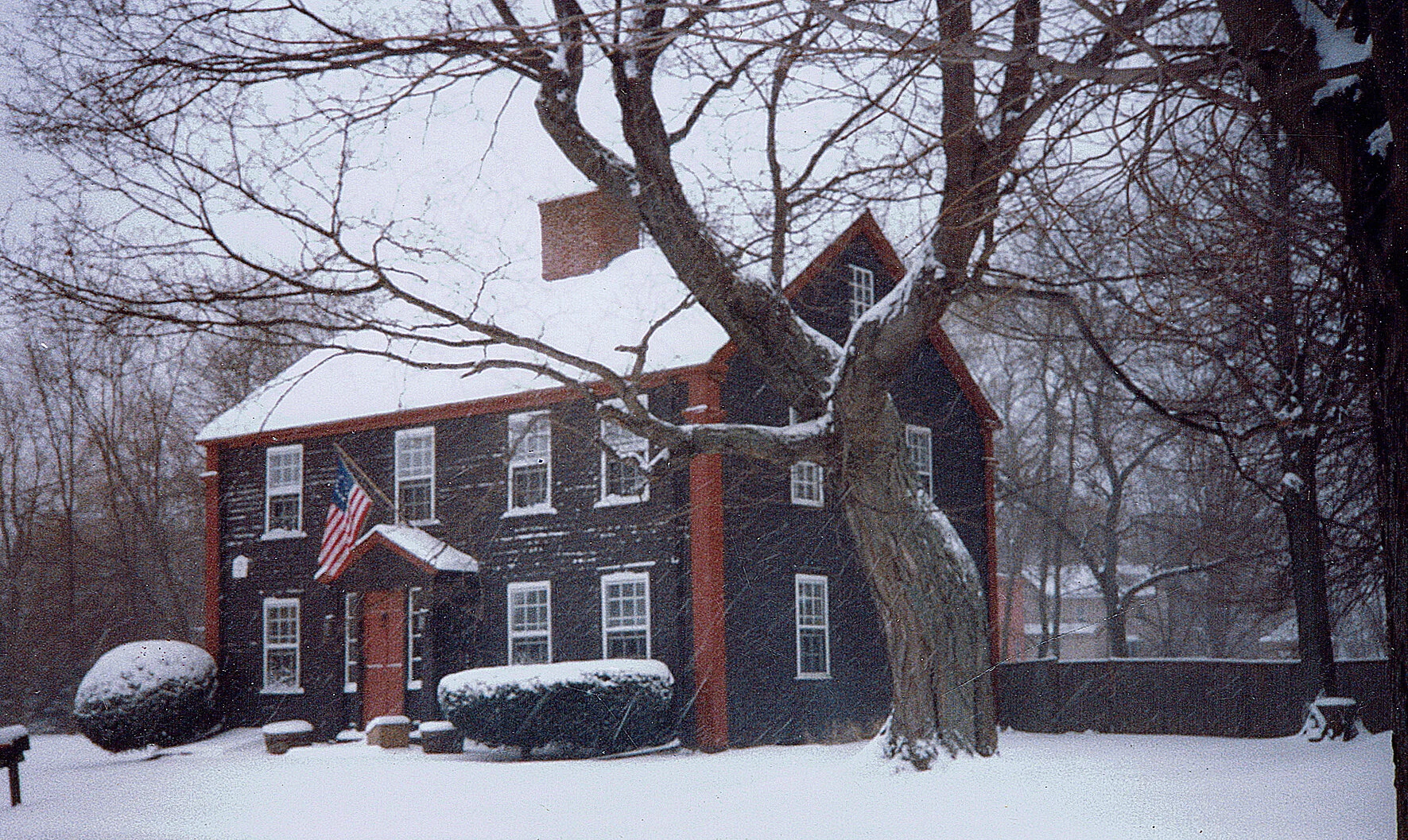 Who is Richard Riccelli? — Ideas in Circulation by Richard Riccelli