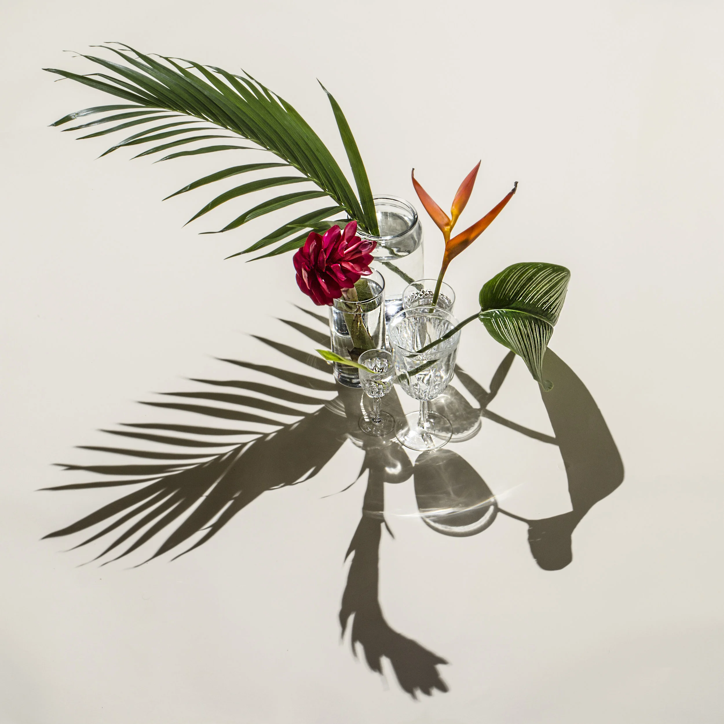 Suzanne Saroff Photography