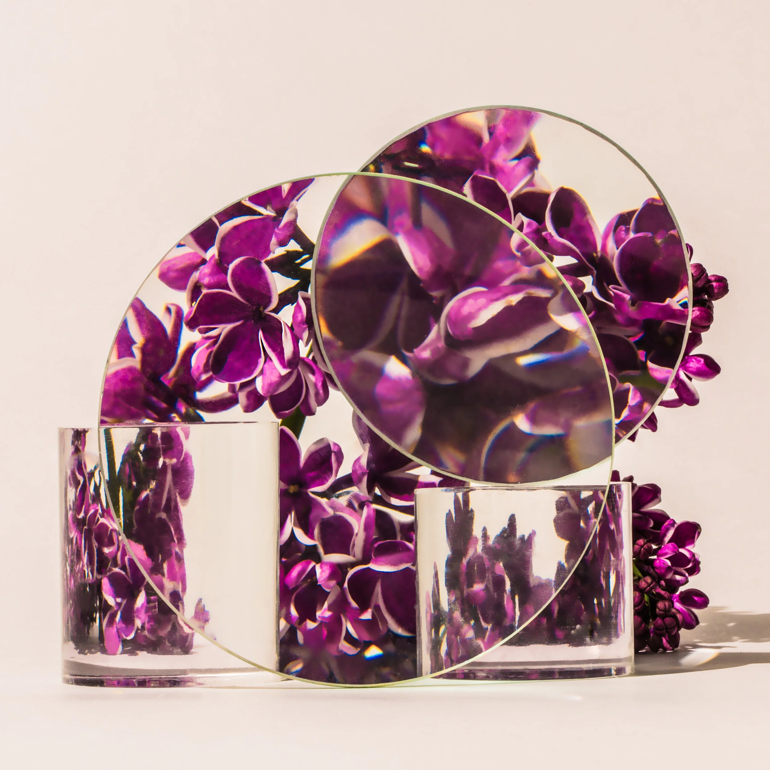 Suzanne Saroff Photography