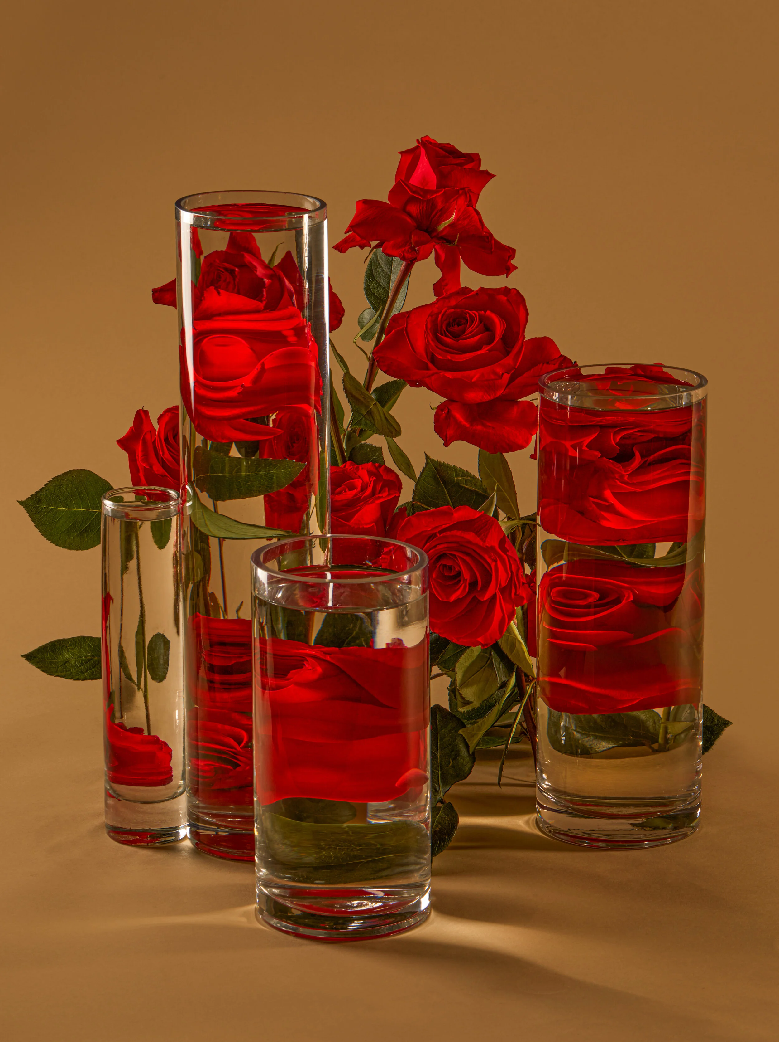 Suzanne Saroff Photography