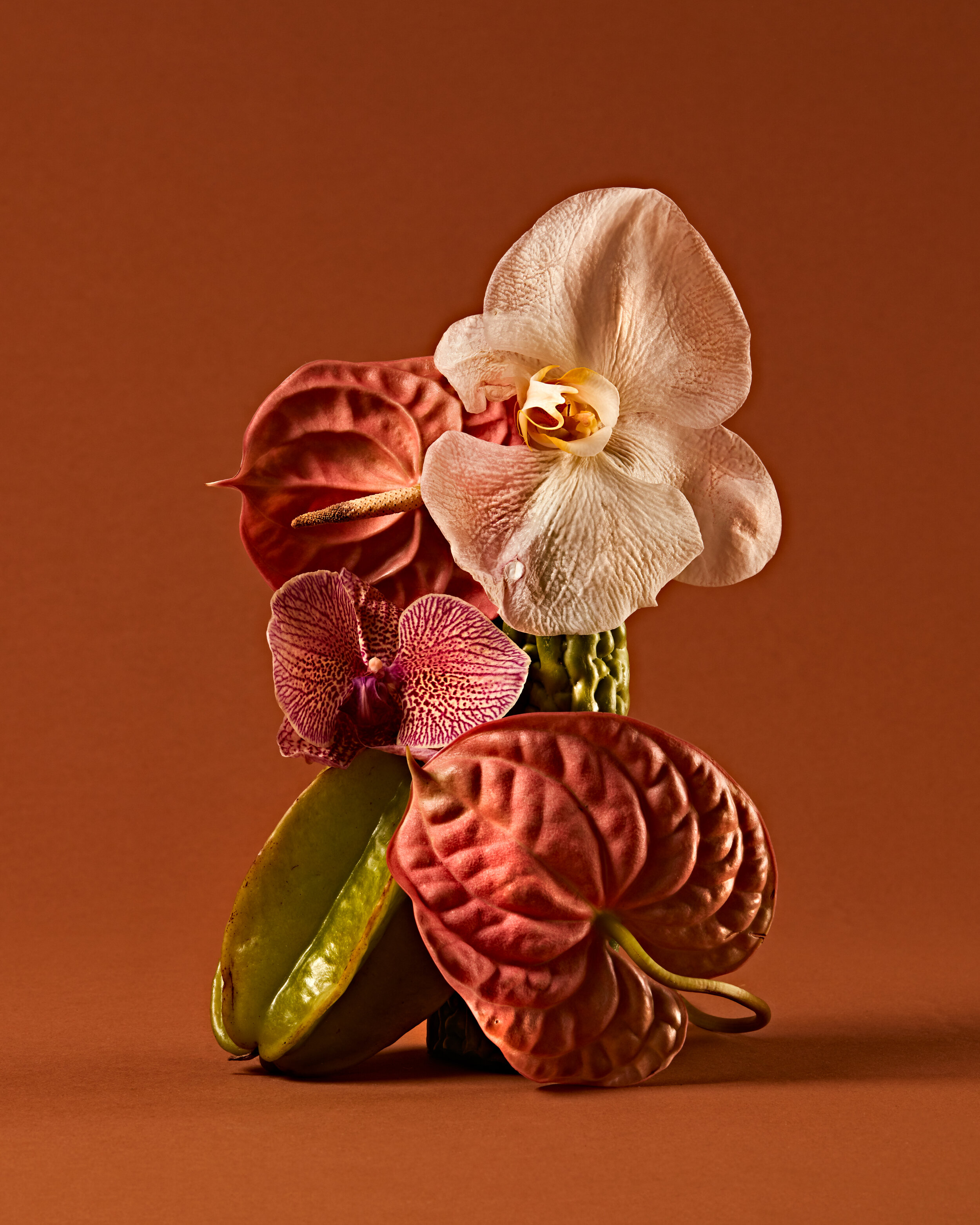 Suzanne Saroff Photography