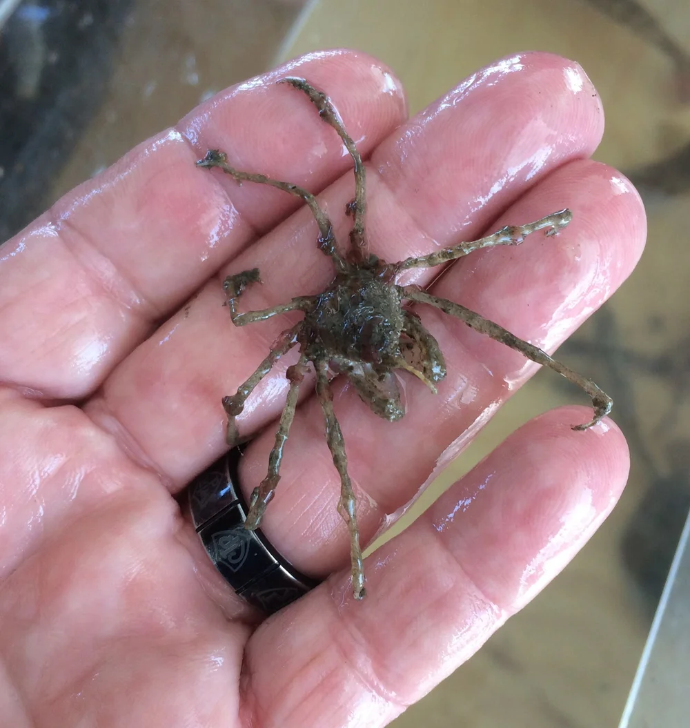 Marine Science Floating Laboratory — Outdoor and Marine Science Field Study