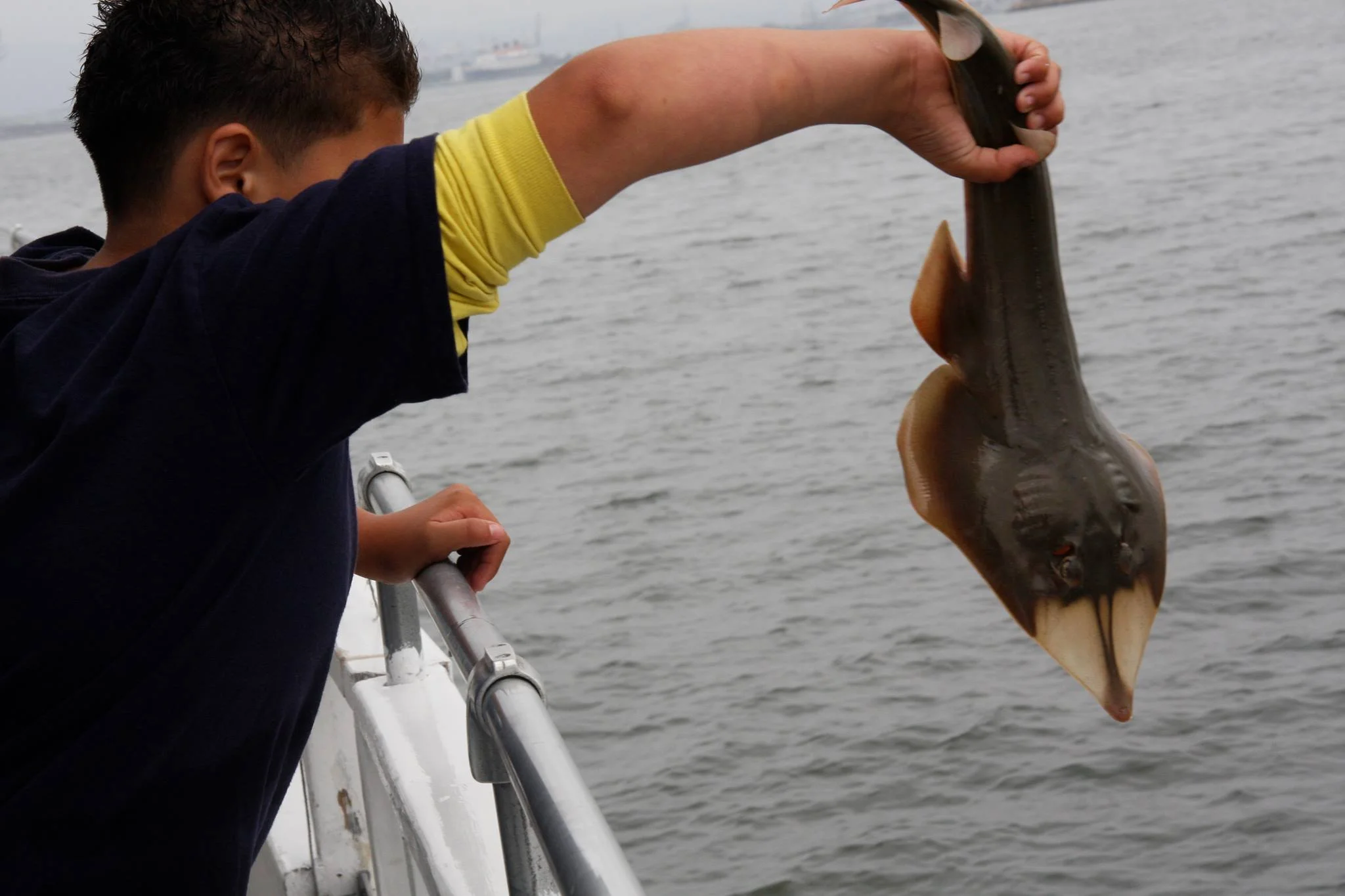 Marine Science Floating Laboratory — Outdoor and Marine Science Field Study