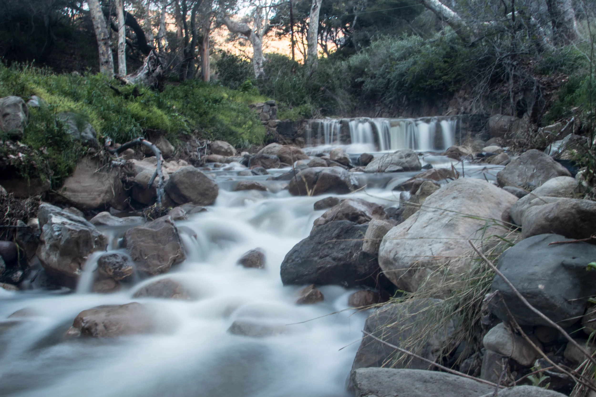 Outdoor and Marine Science Field Study
