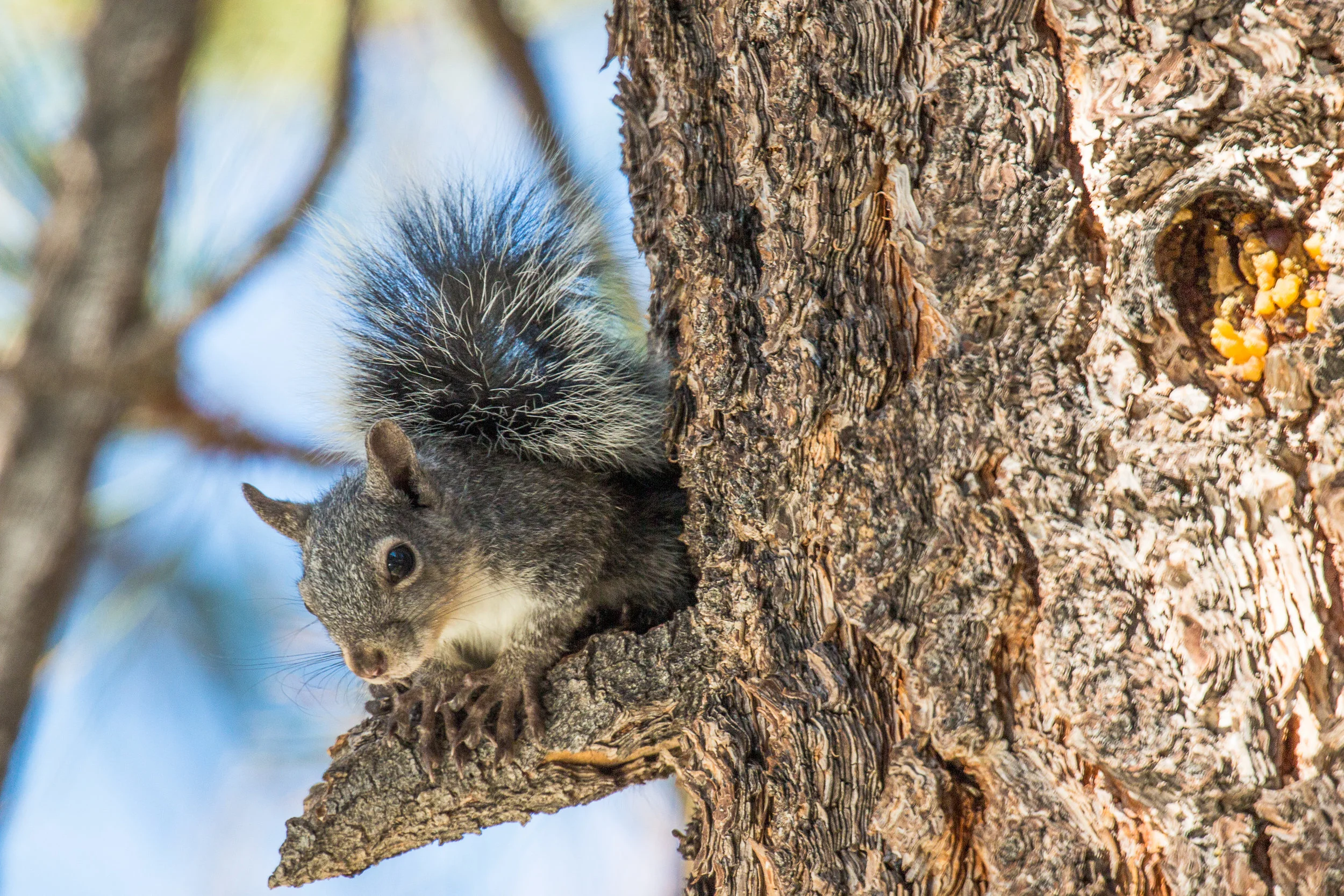Visiting the Outdoor Science School — Outdoor and Marine Science Field ...
