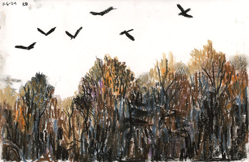 blog — Rob Dunlavey