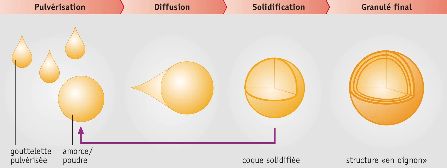 Granulation en lit fluidisé (LAF) — VALORTECS | Process technologies