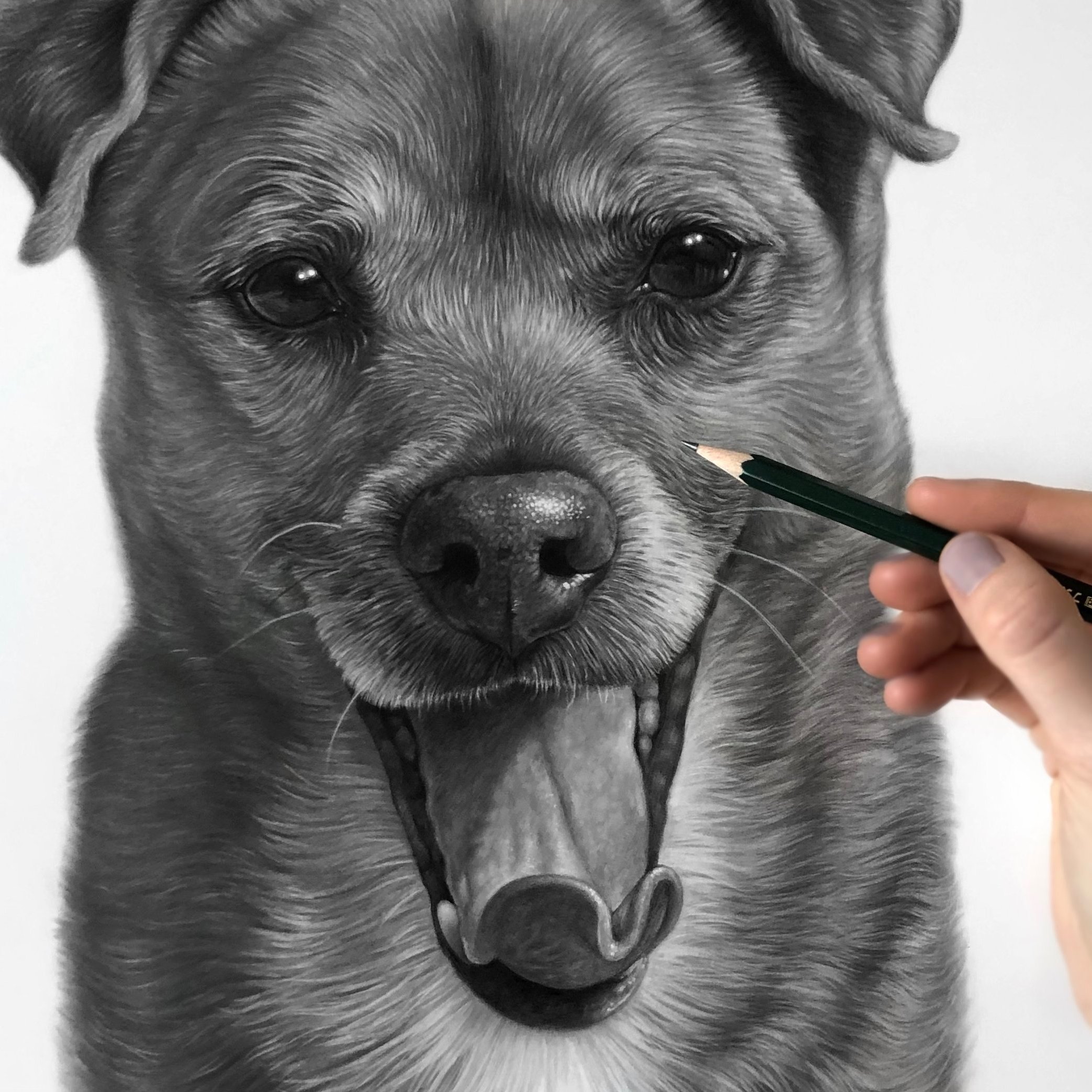 COMMISSIONS — Helen Violet