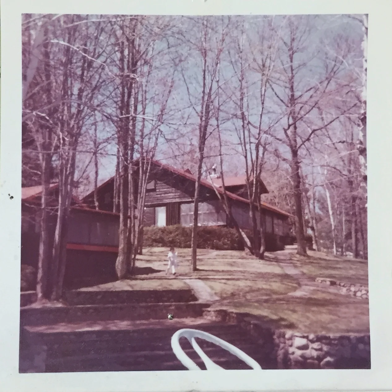 History — Lily Lodge