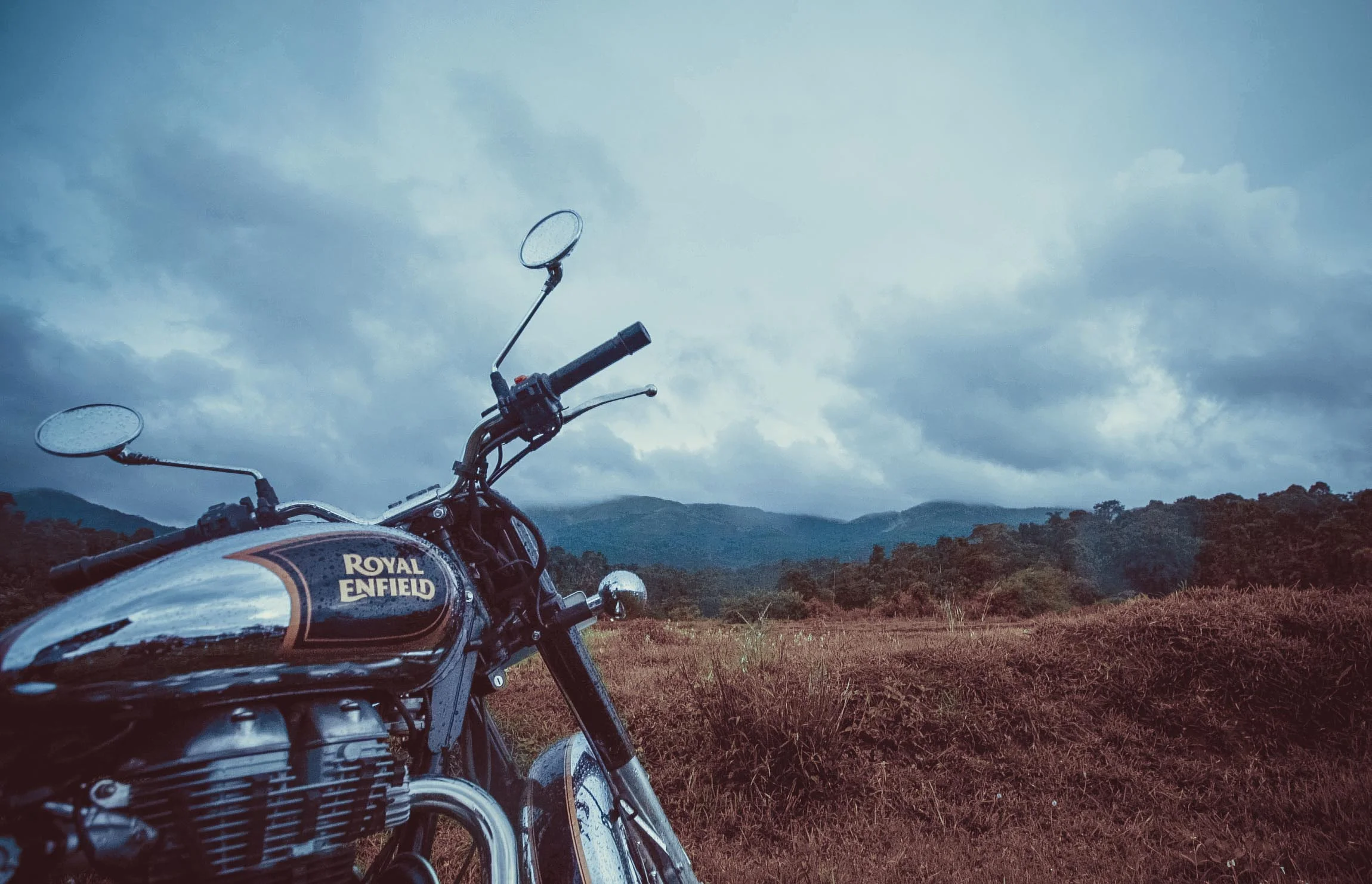 FILMS — BongWater Films