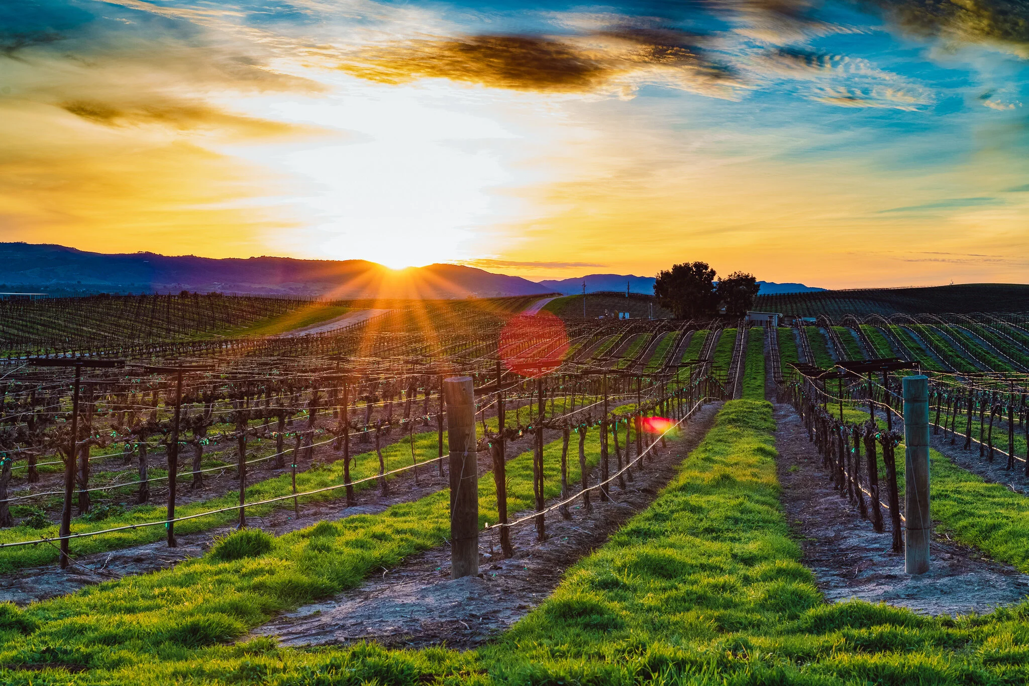 Temecula Wine Country — Humor & Grace