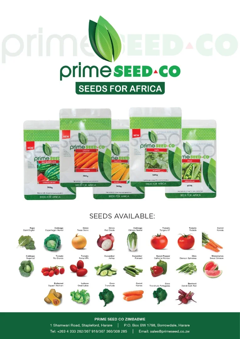 Capturing Prime Seeds... — Scottyphotography