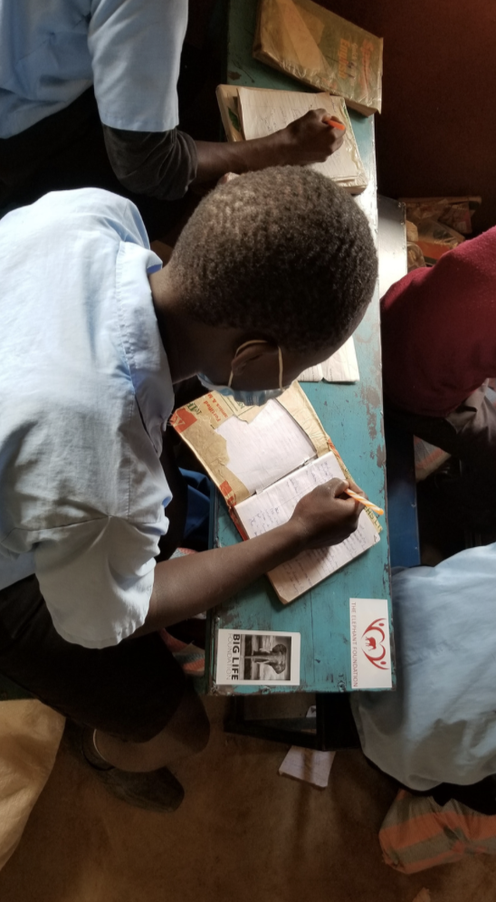 Project Overview — The Elephant Foundation