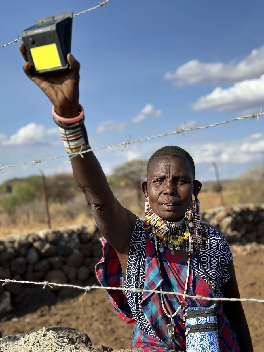 Lion Lights — The Elephant Foundation