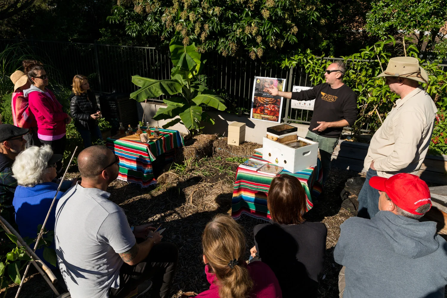 Easy as A, Bee, C — PlantingSeeds