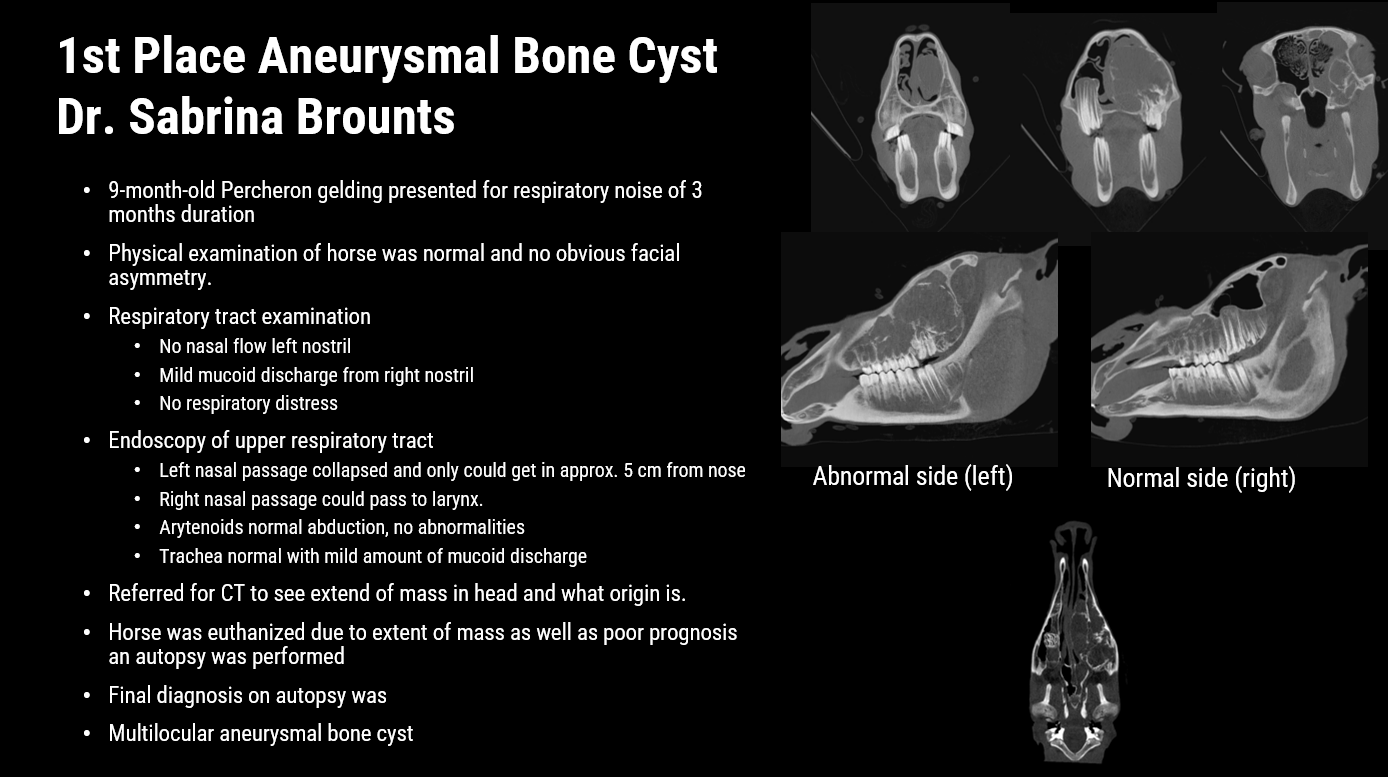 Asto CT - Equine Standing CT - Learn More