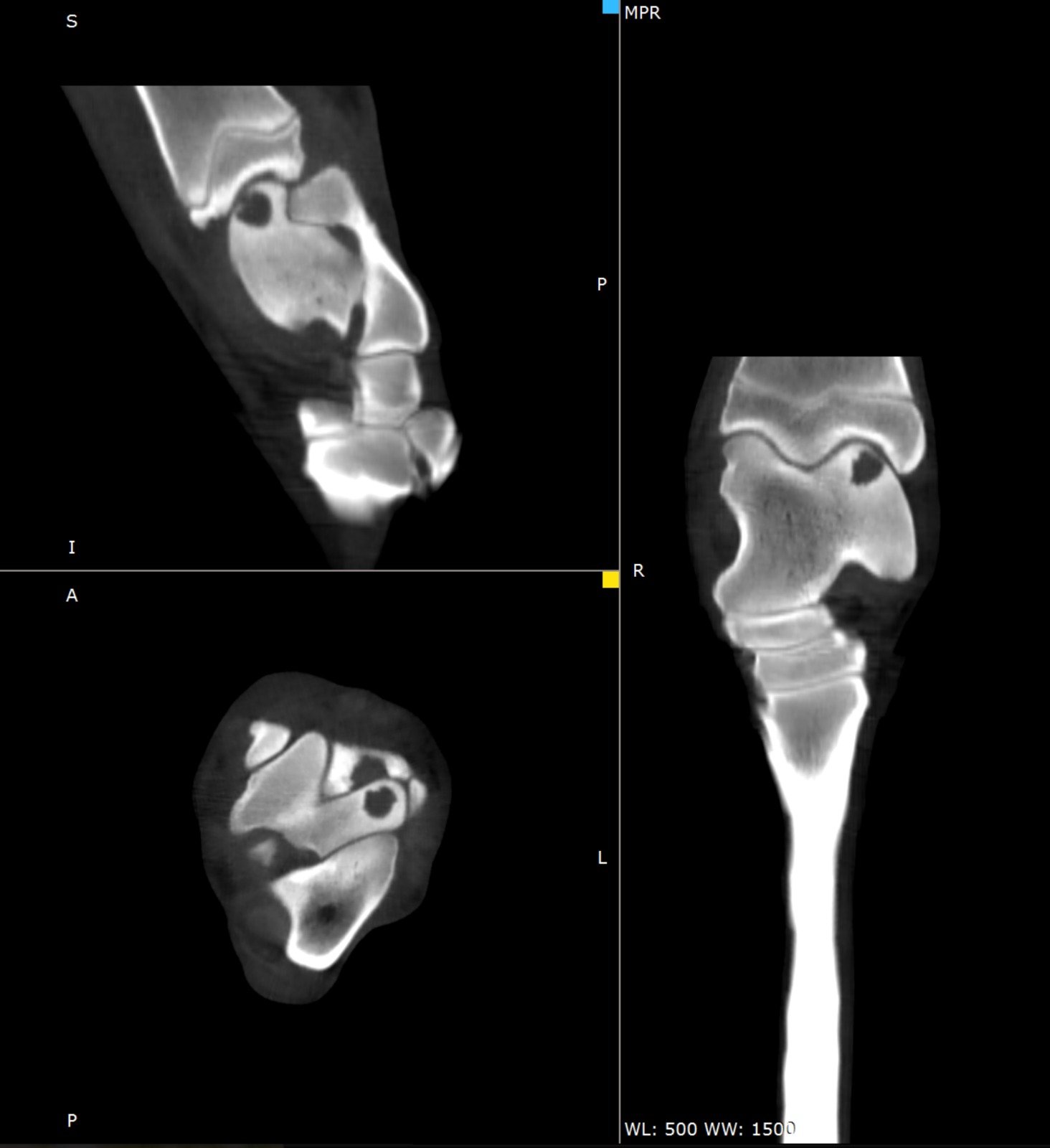 Asto CT - Equine Standing CT - Learn More