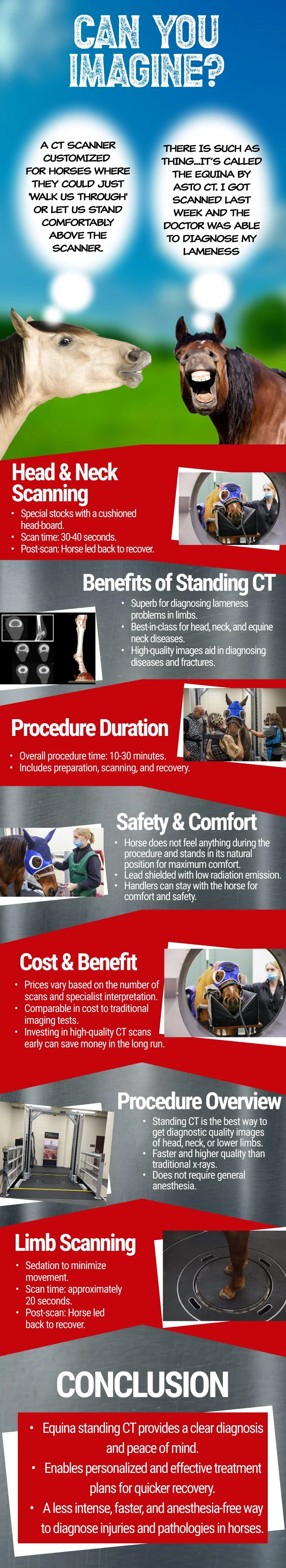 Asto CT - Equine Standing CT - Learn More