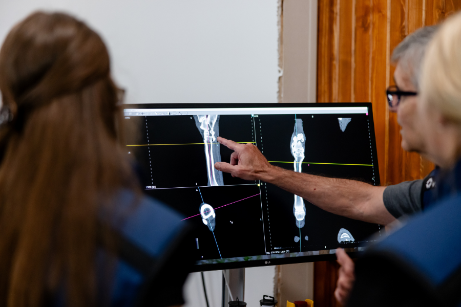 Asto CT - Equine Standing CT - Learn More
