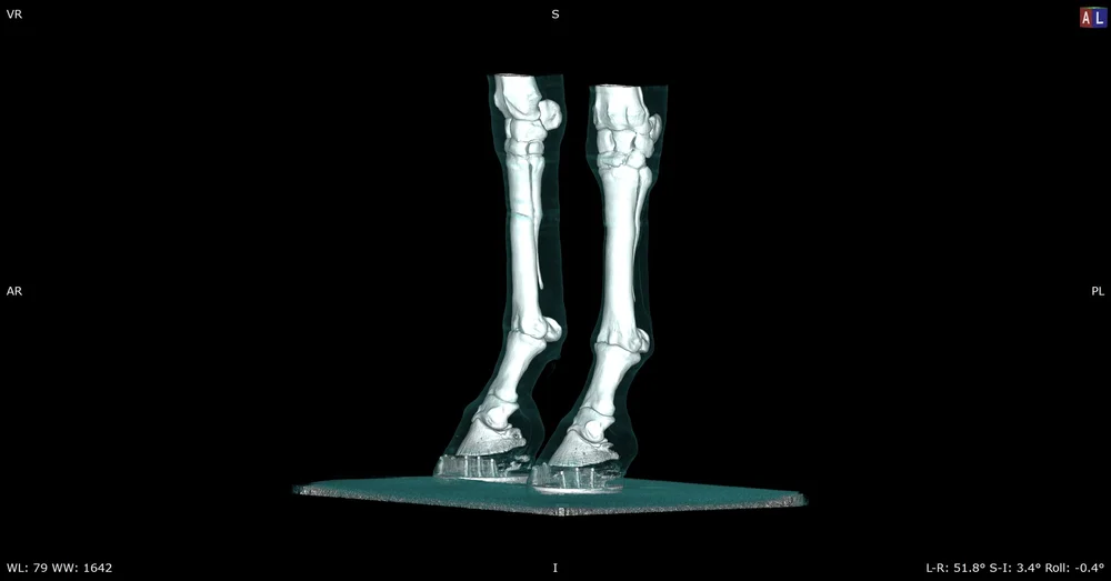 Asto CT - Equine Standing CT - Learn More