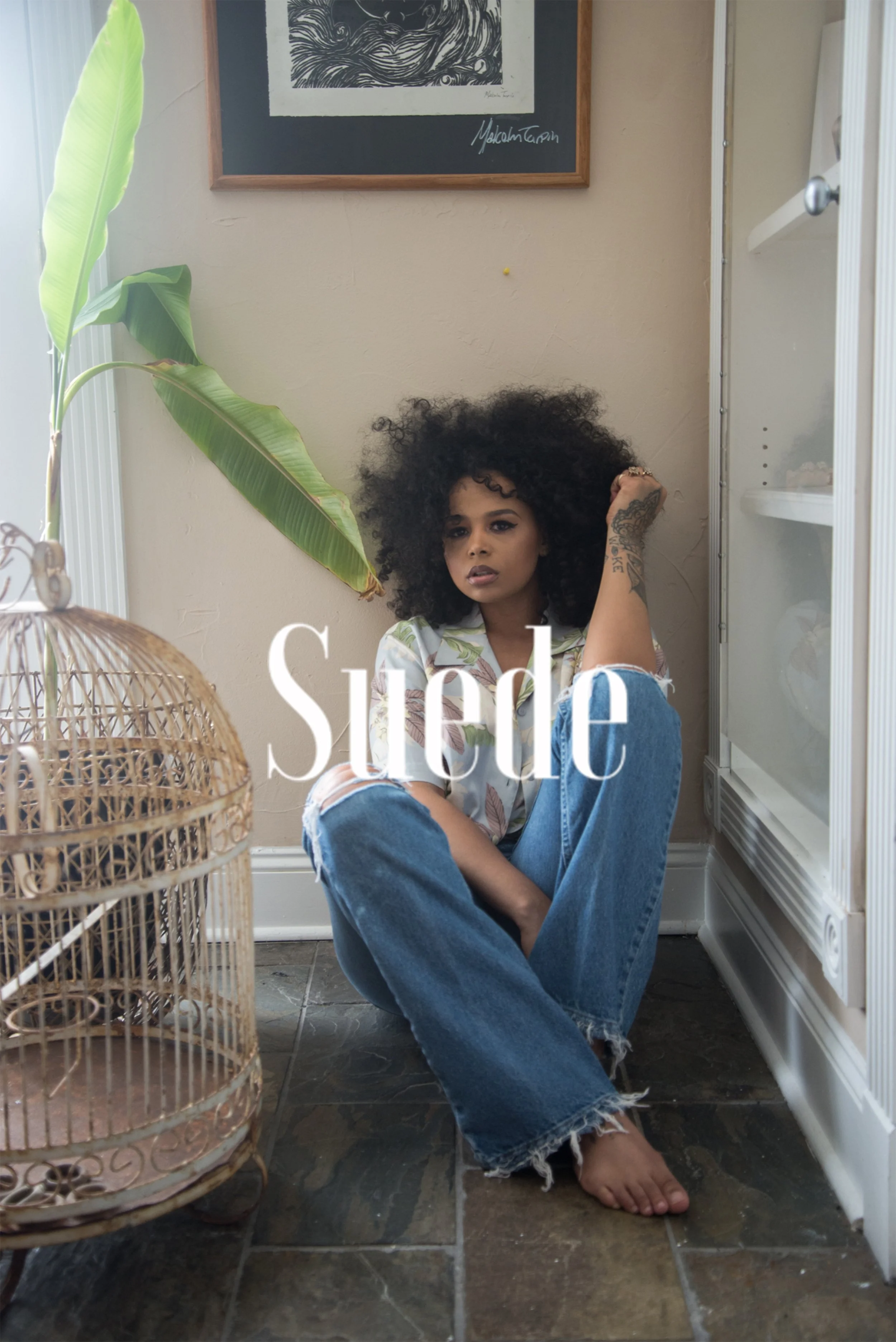 The Suede Aesthetic — The Stuyvesant