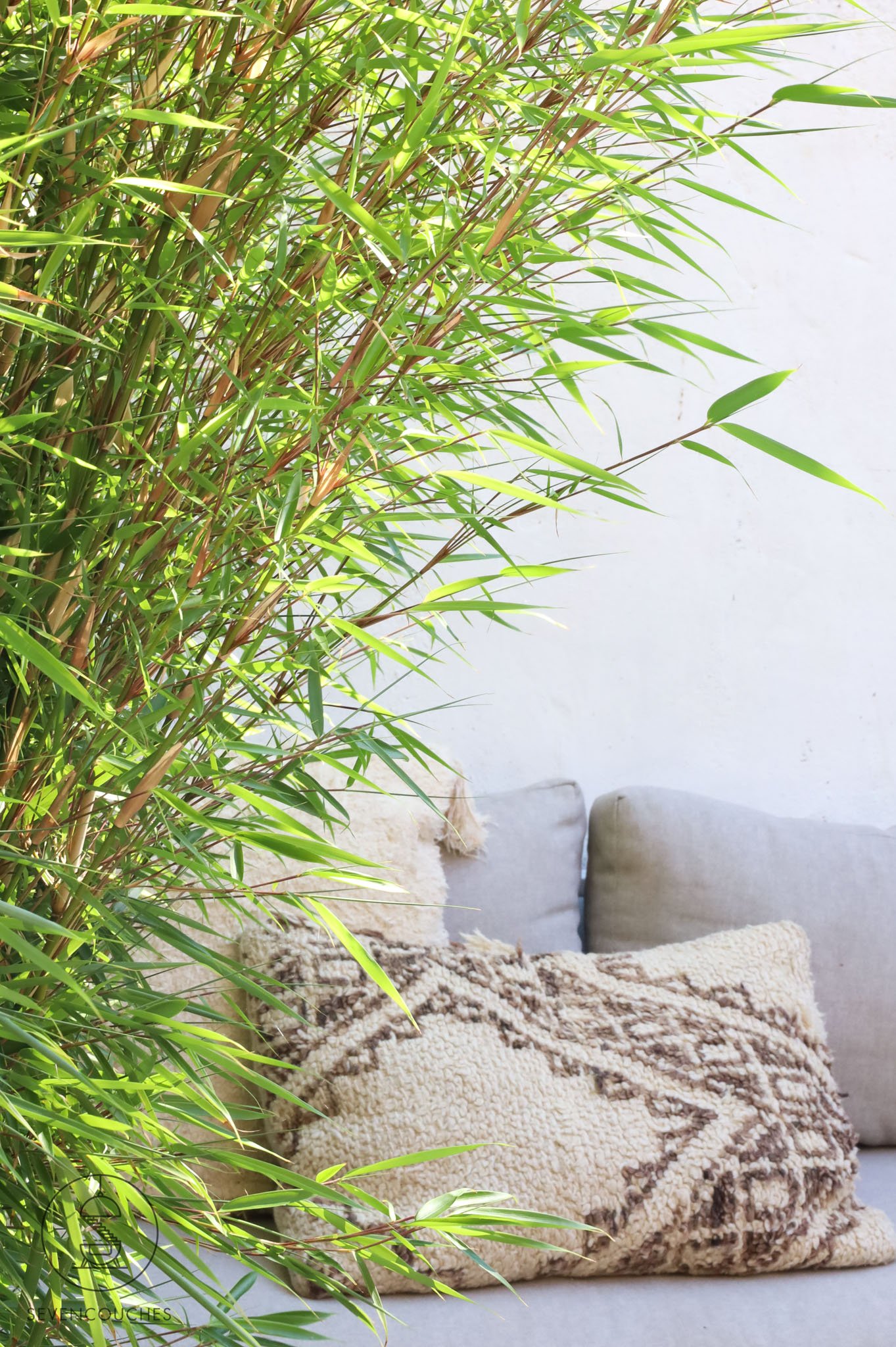 Bamboe snoeien? Zo doe je dat (+ tips voor hergebruiken) — sevencouches