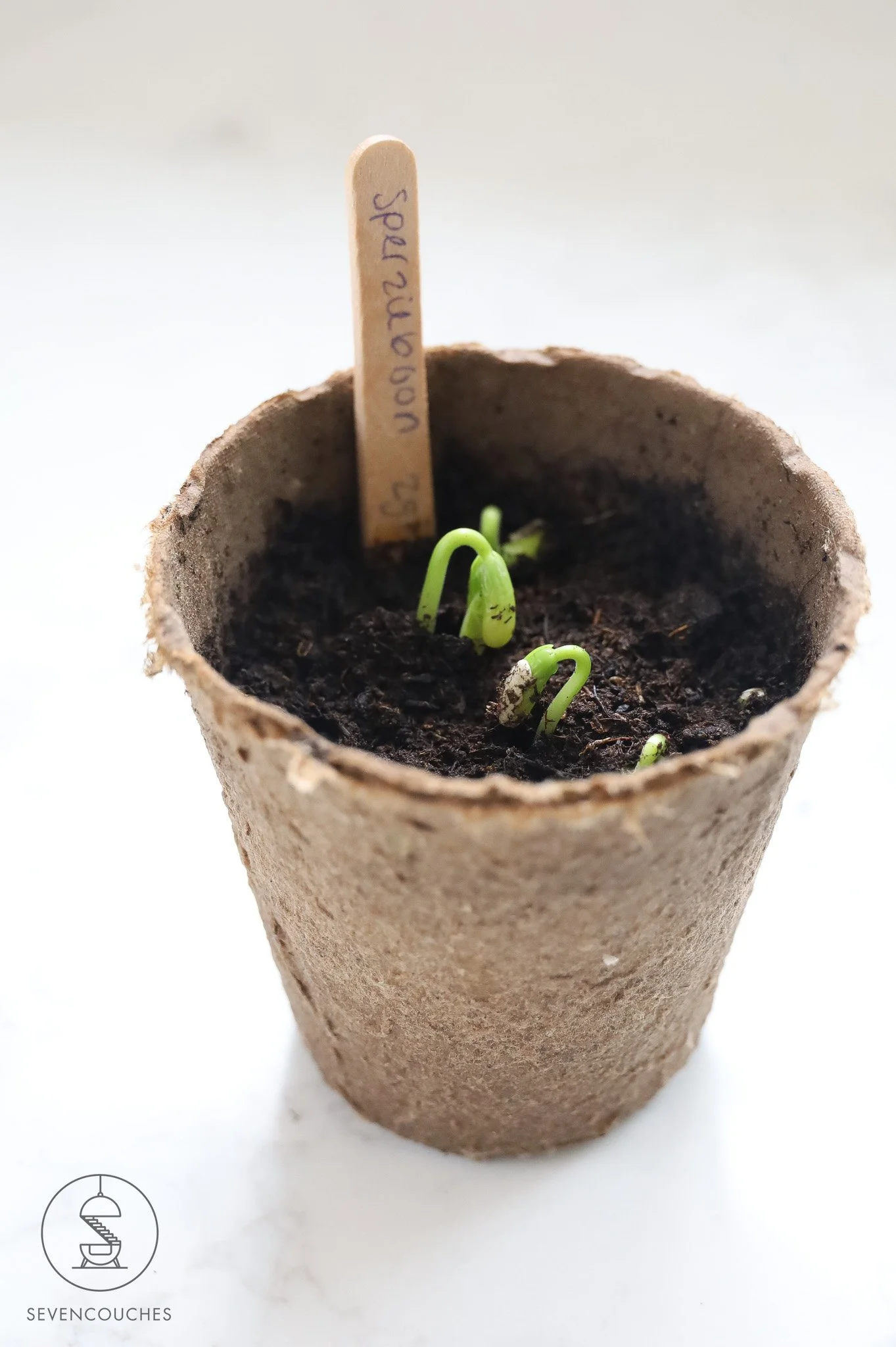 Moestuin beginnen: kweek je eigen groenten zelf met deze tips ...