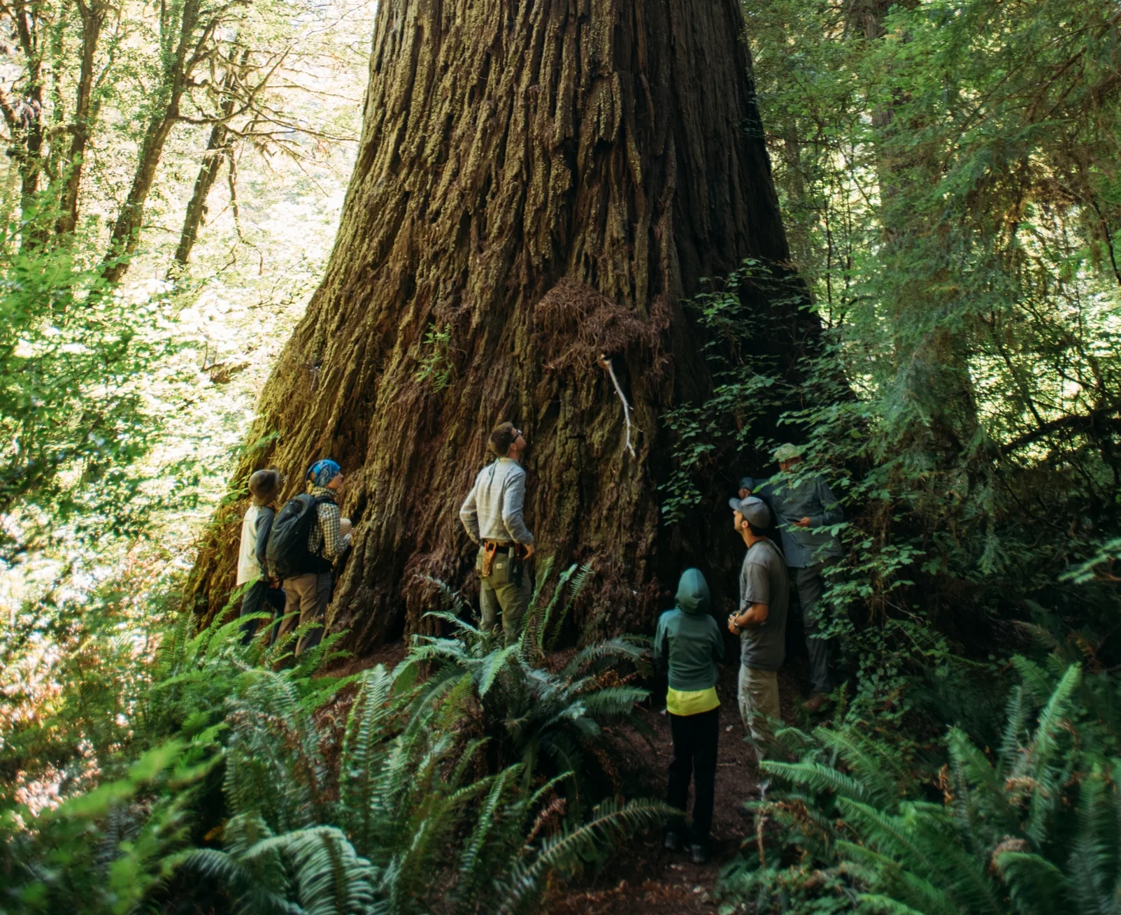 CONTACT — Matt Ritter