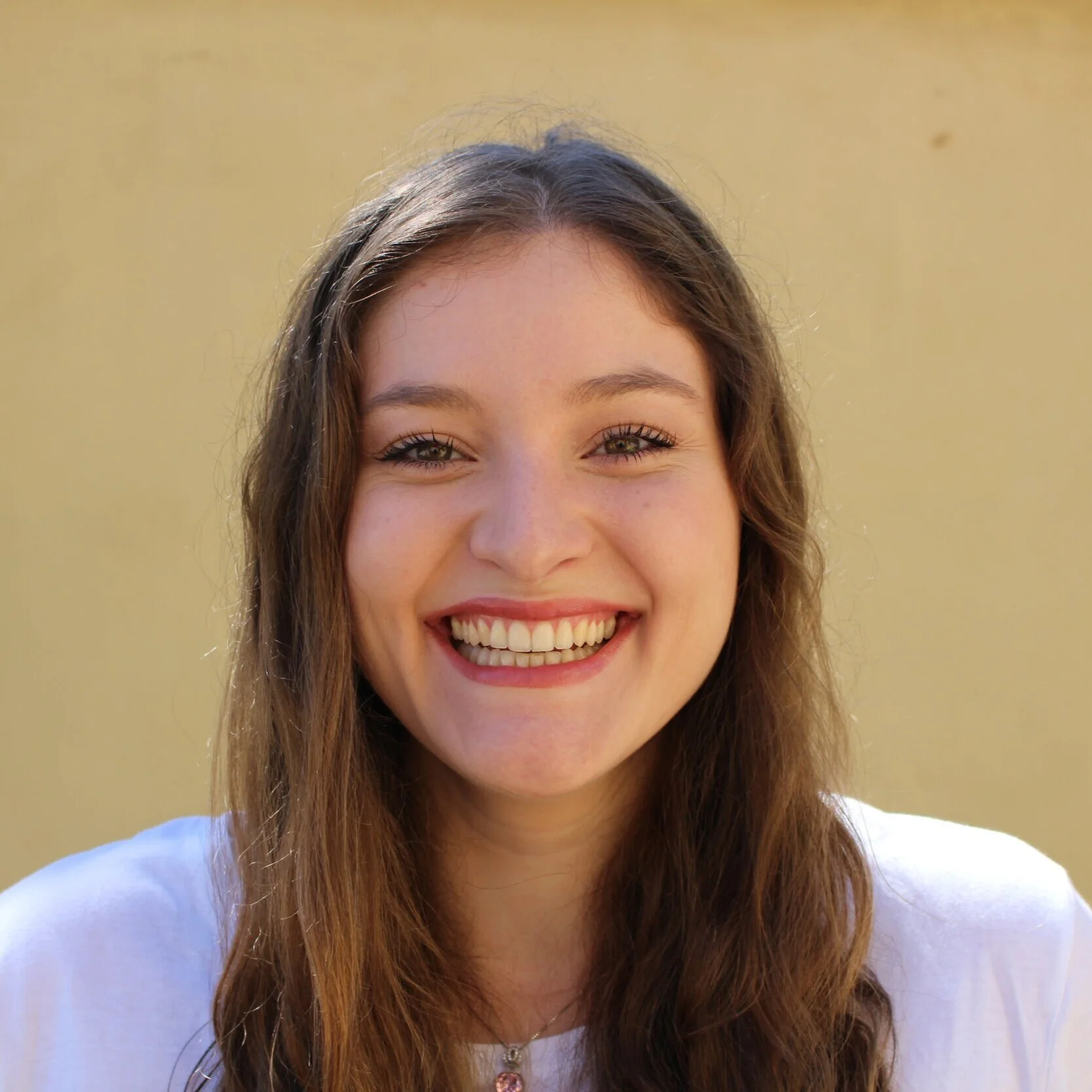 Early Career Researchers Network — Association of Critical Heritage Studies