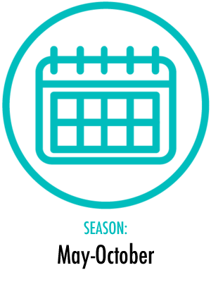 Egypt Kitesurfing Cruise | The Rider Experience