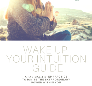 Kim Chestney's Illumination Shop ~ Kim Chestney | Join the Intuition ...