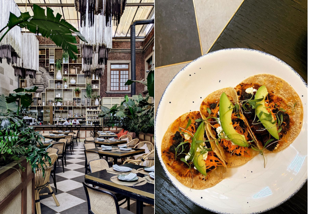 Our favorite restaurants in CDMX to have a rehearsal dinner — Frida ...