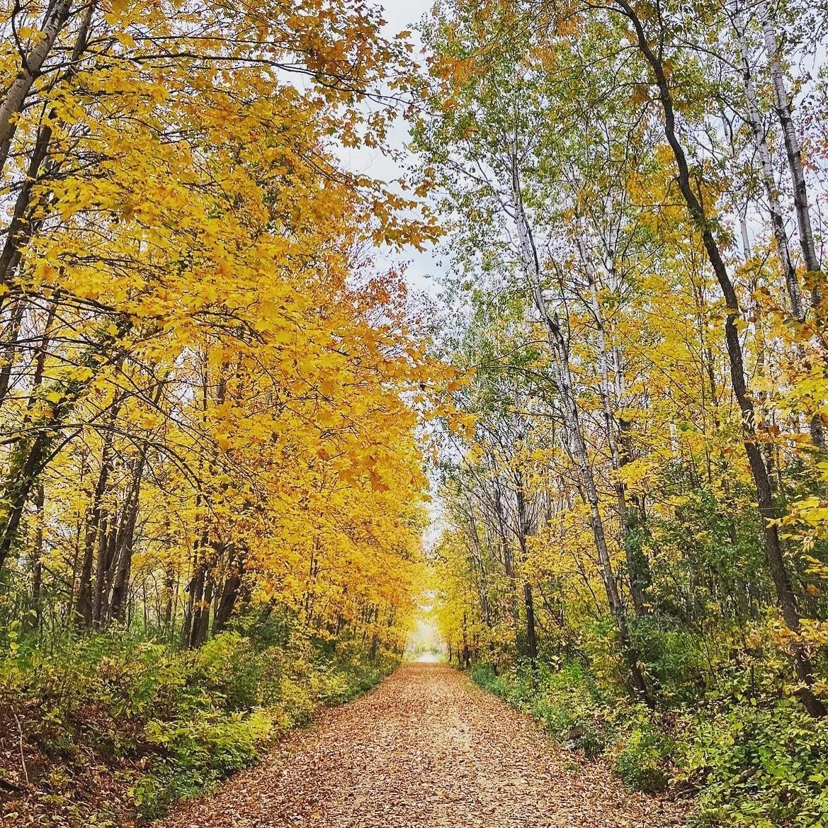 Gandy Dancer Marathon