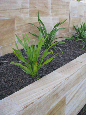 Coogee Sandstone Tiles, Pavers, Paving & Wall Cladding — Bellstone