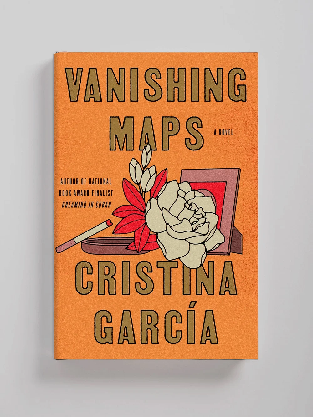 Vanishing Maps — Lauren Peters-Collaer