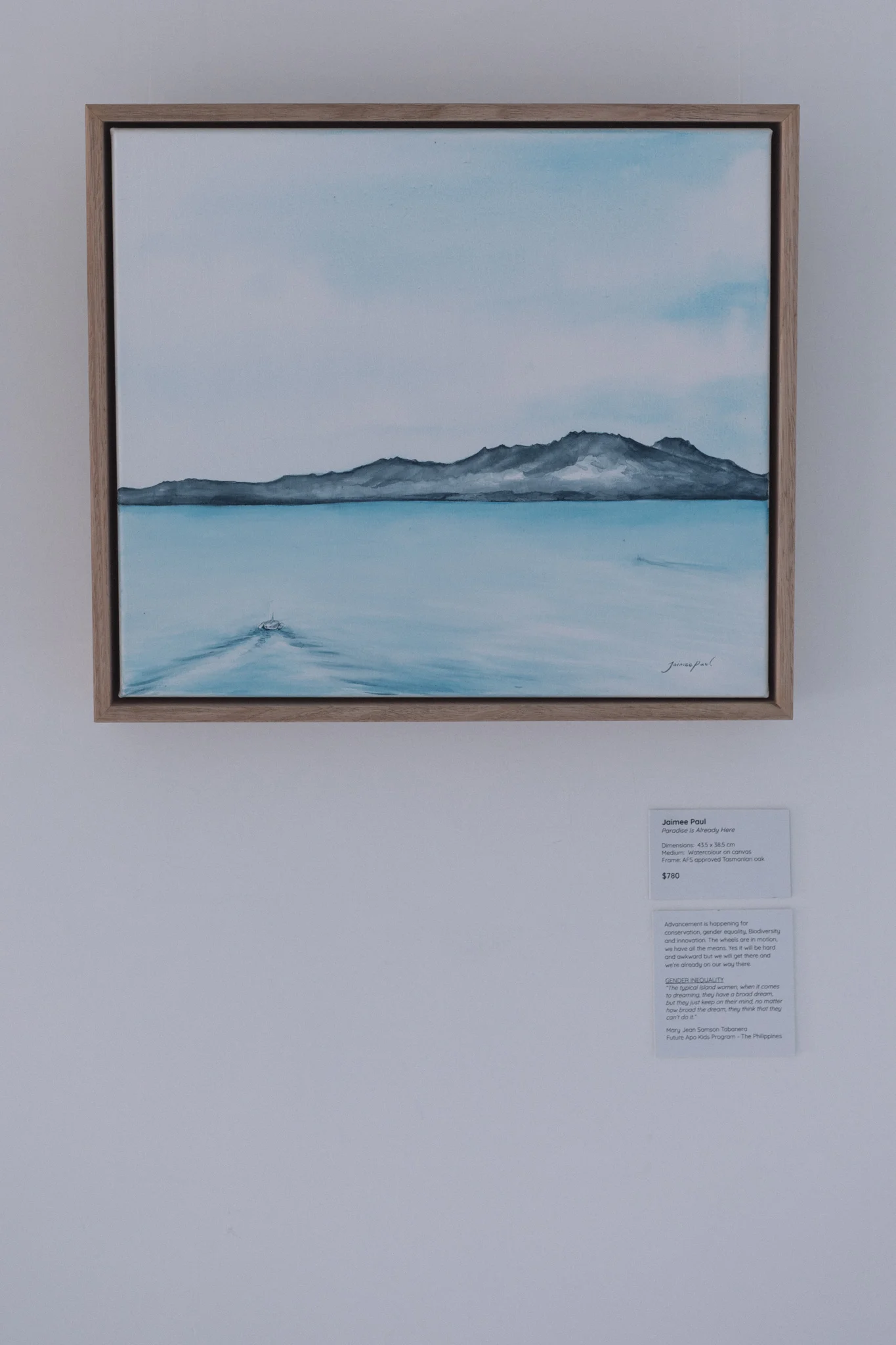 Art series of film b-roll - Interview with the artist, Jaimee Paul — Blog